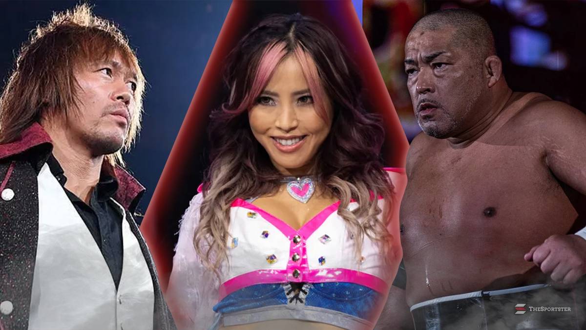 Japanese Wrestling Stars: Where Would They Fall On WWE's Roster?