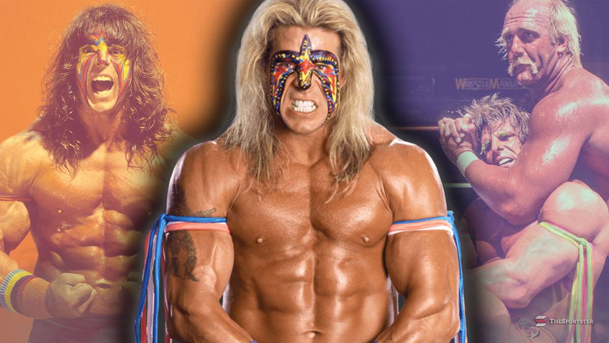ultimate warrior stats